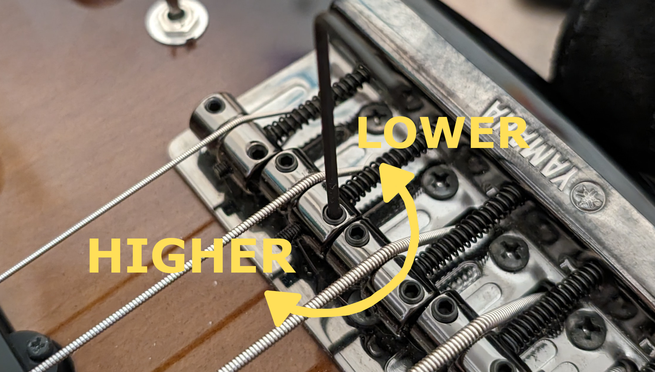How To Set Up Your Bass: The BassBros Way | BassBros