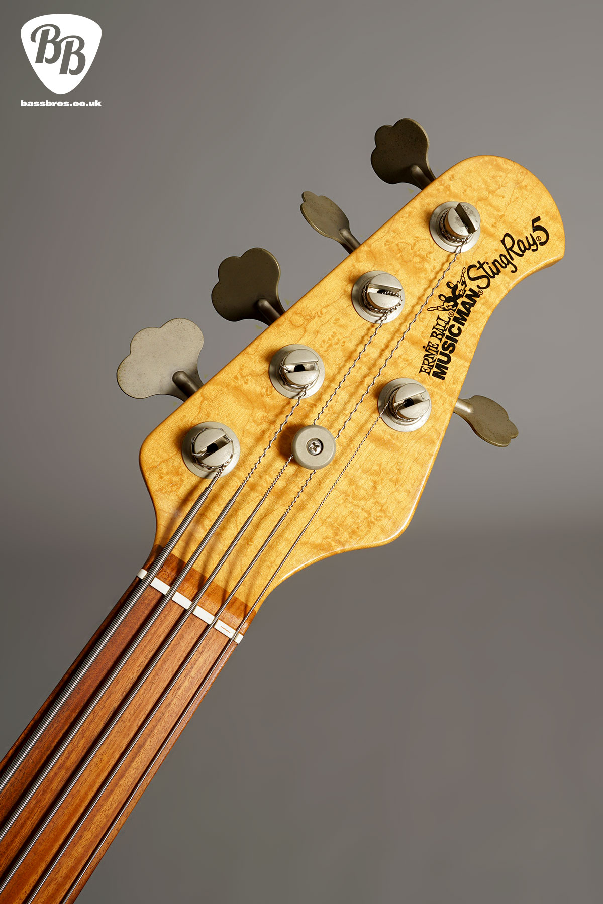 The Five-String Bass Dilemma: When To Bring The B String? | BassBros