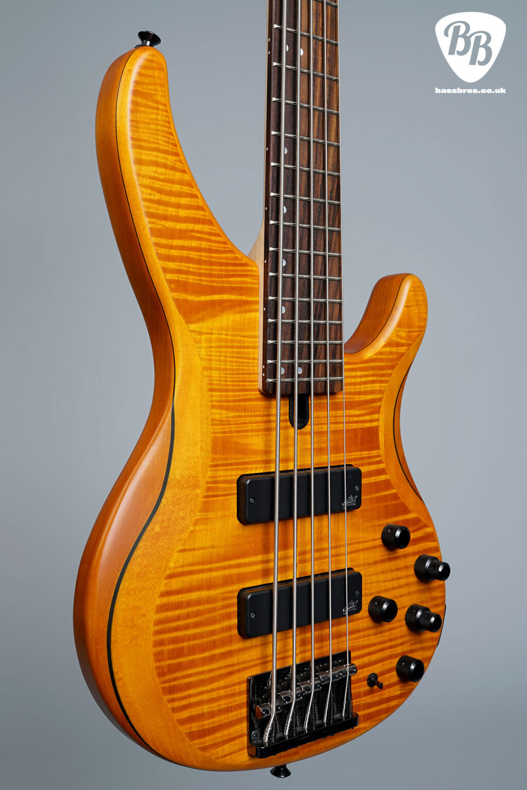 Yamaha TRBX605FM Mod - BassBros